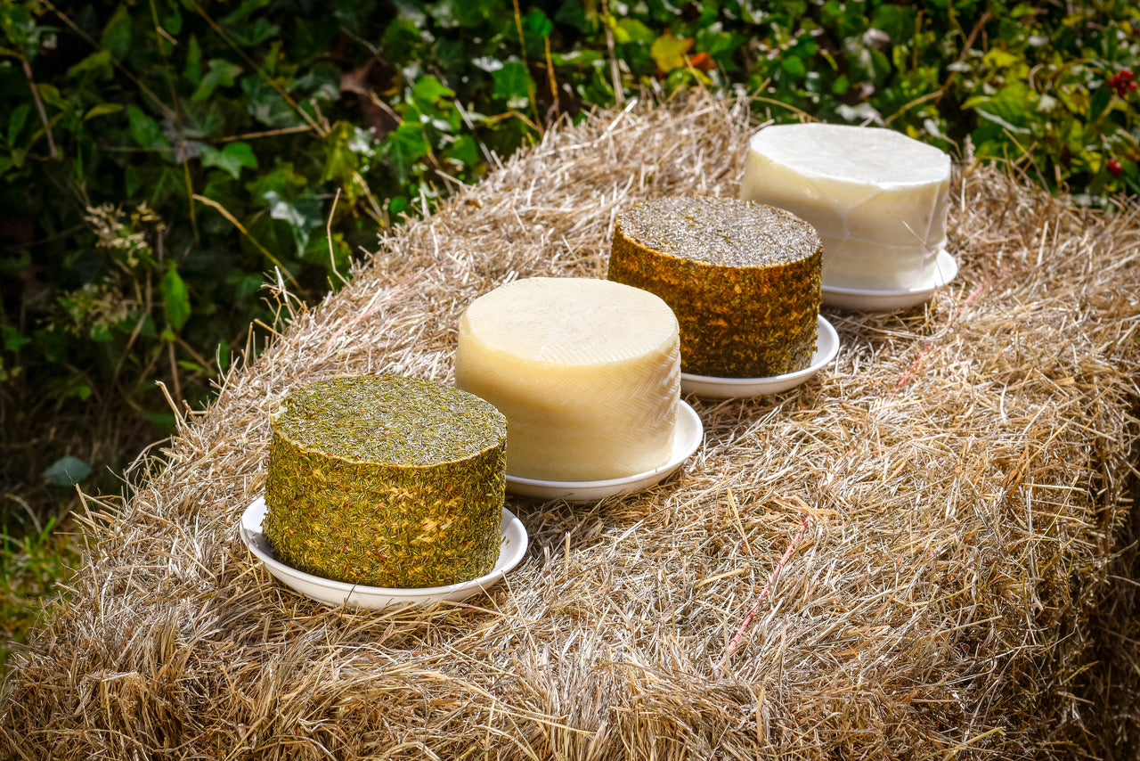 Organic Manchego Cheese | Emmett's Smokehouse & Fine Foods